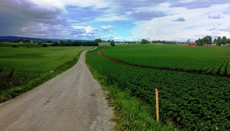 Ønsker kandidater til kulturlandskapsprisen - Landbruksdirektoratet